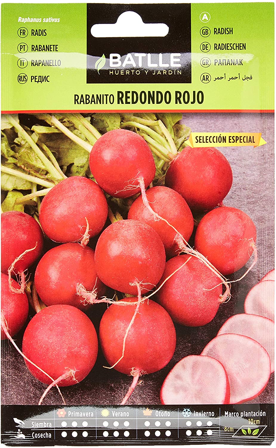 Qué plantar en Enero - Jardinestop.com